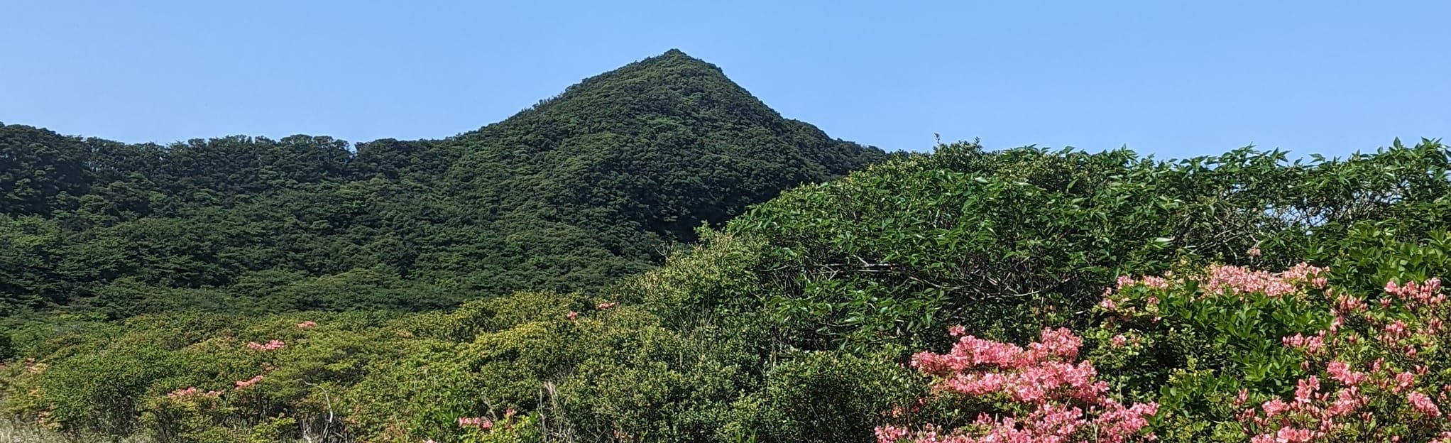 Mount Mihara Hiking Course: The Summit Trail, Tokyo, Japan - 2 Reviews ...