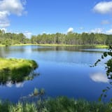 Three Lakes Loop, Florida - 265 Reviews, Map | AllTrails