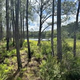 Three Lakes Loop, Florida - 265 Reviews, Map | AllTrails