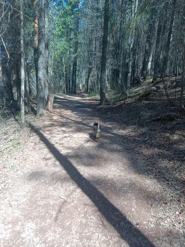 Best Hikes and Trails in Barrett Park | AllTrails