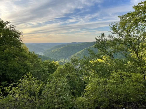 10 Best Hikes and Trails in Pine Mountain State Resort Park | AllTrails
