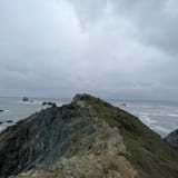 Blacklock Point Trail, Oregon - 339 Reviews, Map | AllTrails