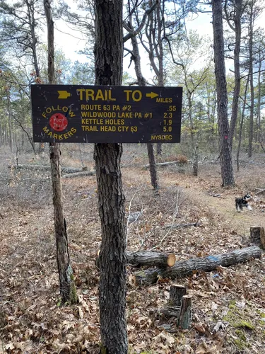 Best Hikes and Trails in Peconic Bog County Park | AllTrails