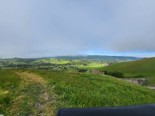 Best Hikes and Trails in Callippe Preserve | AllTrails