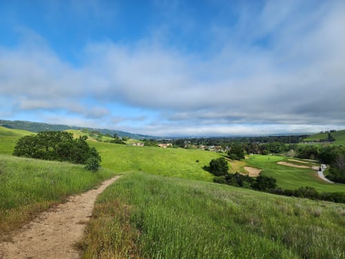 Best Hikes and Trails in Callippe Preserve | AllTrails