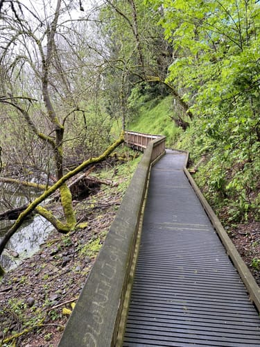 Best Hikes and Trails in Oaks Bottom Wildlife Refuge | AllTrails