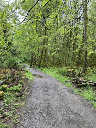 Best Hikes and Trails in Oaks Bottom Wildlife Refuge | AllTrails