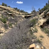 Spruce Canyon Trail, Colorado - 271 Reviews, Map | AllTrails