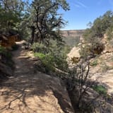 Spruce Canyon Trail, Colorado - 271 Reviews, Map | AllTrails