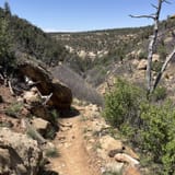 Spruce Canyon Trail, Colorado - 271 Reviews, Map | AllTrails