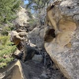 Spruce Canyon Trail, Colorado - 271 Reviews, Map | AllTrails