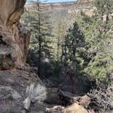 Spruce Canyon Trail, Colorado - 271 Reviews, Map | AllTrails