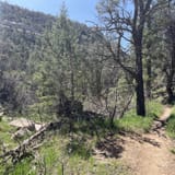 Spruce Canyon Trail, Colorado - 271 Reviews, Map | AllTrails