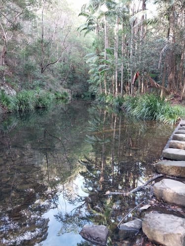 Best Hikes and Trails in Lower Beechmont Conservation Area | AllTrails