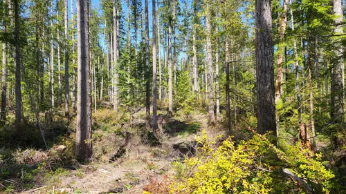 10 Best Trails and Hikes in Silverdale | AllTrails