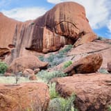 Kuniya Walk to Mutitjulu Waterhole, Northern Territory, Australia - 43 ...