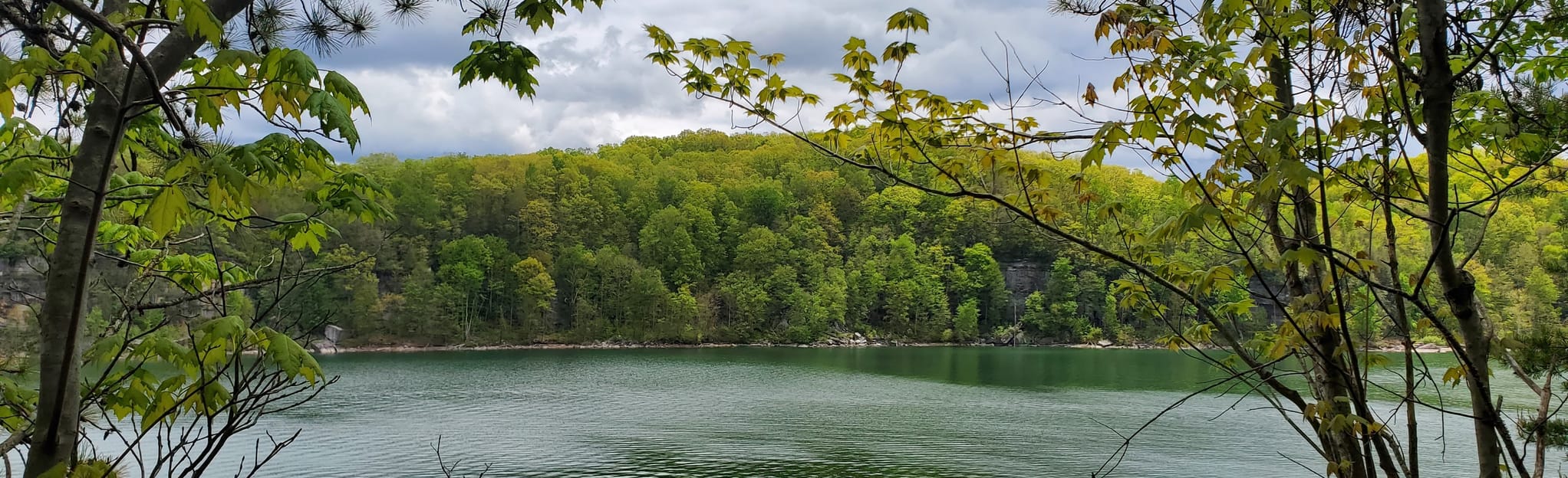 Long Point Trail, West Virginia - 576 Reviews, Map | AllTrails