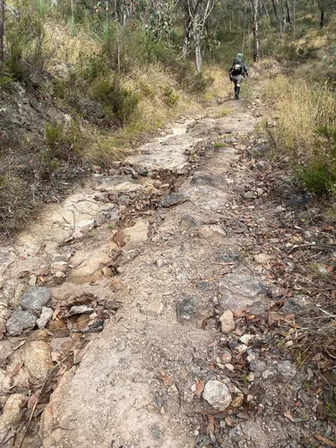 Best Camping Trails in Arbuckle | AllTrails