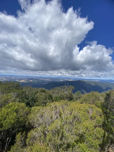 Best Hikes and Trails in Dial Range Regional Reserve | AllTrails