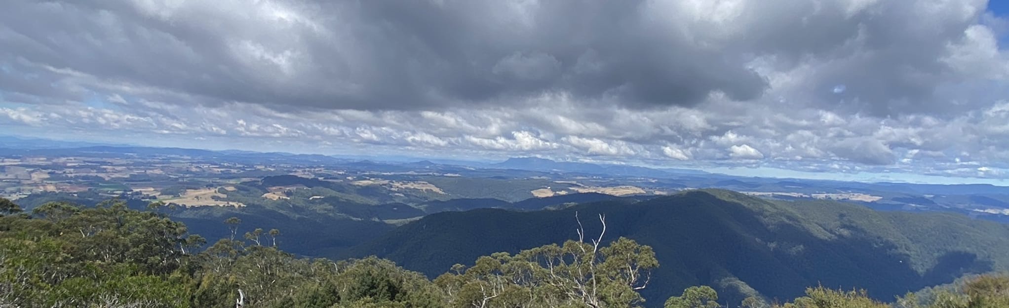 Mount Duncan via Dial Creek: 61 foto's - Tasmanië, Australië | AllTrails