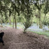 The Hurtwood and Winterfold Hill, Surrey, England - 63 Reviews, Map ...