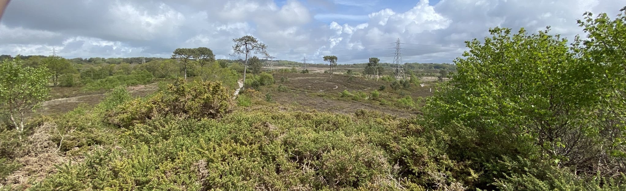 Upton Heath Circular: 34 Reviews, Map - Dorset, England | AllTrails