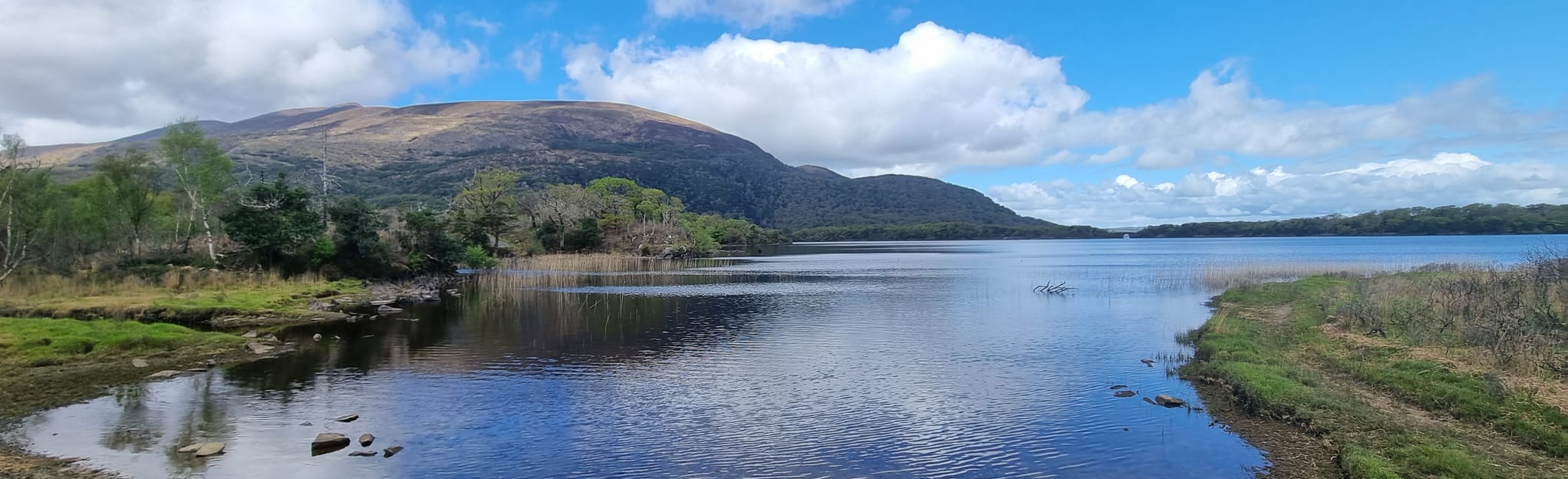 Muckross Lake Loop, County Kerry, Ireland - 260 Reviews, Map | AllTrails