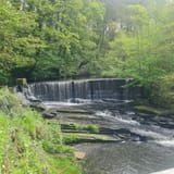 Yarrow Valley Country Park Circular, Lancashire, England - 201 Reviews ...