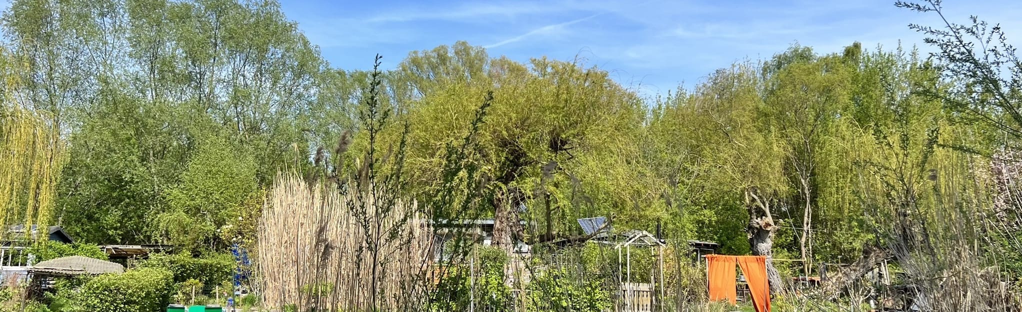 Durch die Tiefwerder Wiesen: 82 Fotos - Berlin, Deutschland | AllTrails