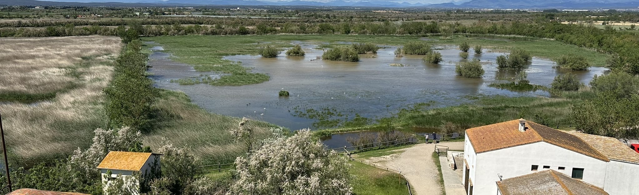 AllTrails | Mas de Matà via Camí de Ronda: 11 Reviews, Map - Girona, Spain