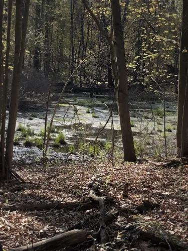 Best Hikes and Trails in Gourdneck State Game Area | AllTrails