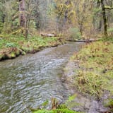 Irely Lake Trail, Washington - 125 Reviews, Map | AllTrails