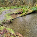 Irely Lake Trail, Washington - 125 Reviews, Map | AllTrails