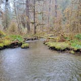 Irely Lake Trail, Washington - 125 Reviews, Map | AllTrails