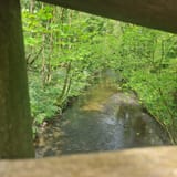 Yarrow Valley Country Park Circular, Lancashire, England - 201 Reviews ...