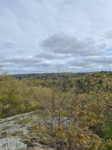 Best Hikes and Trails in Mattatuck State Forest | AllTrails