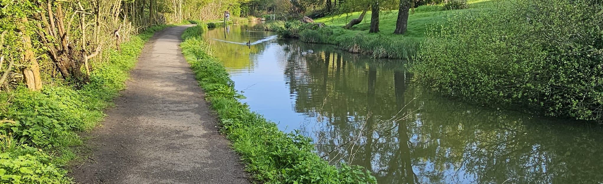 Swindon Old Railway and Canal Walk: 52 Reviews, Map - Wiltshire ...