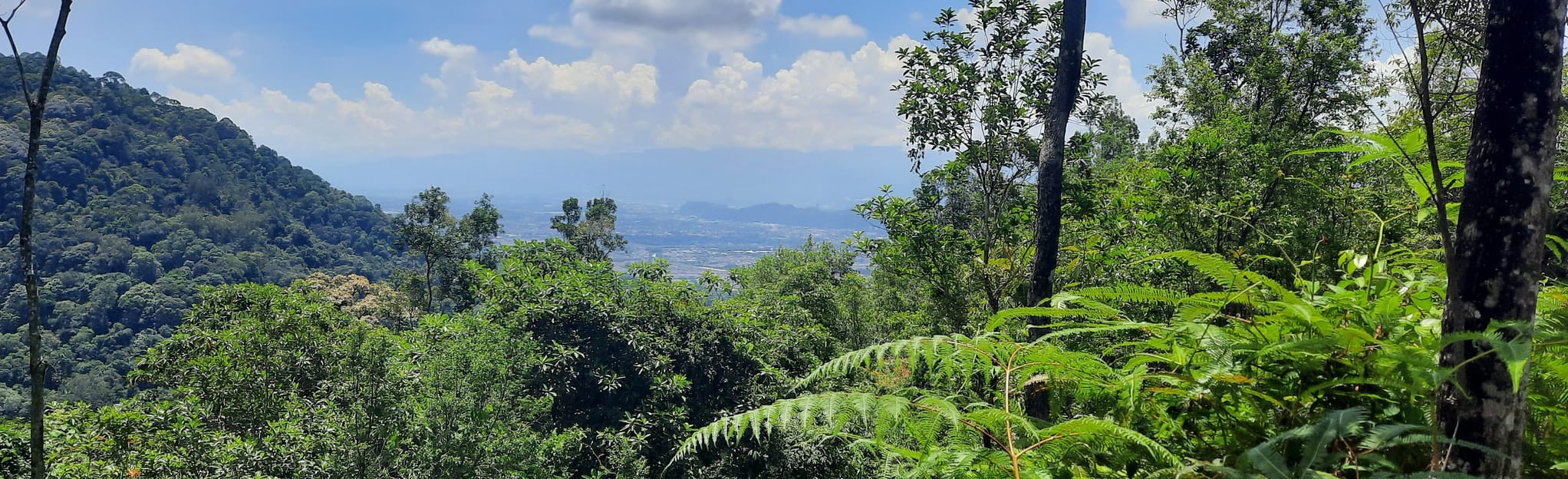 Bukit Kledang Boucle 4-9 : 287 Photos - Perak, Malaisie | Randonnée ...