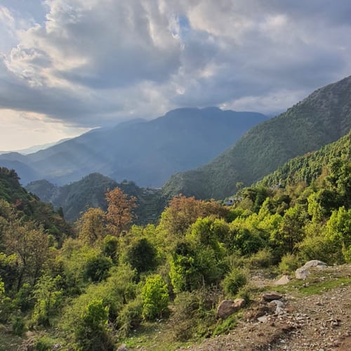 2023 Best 10 Backpacking Trails in Dhauladhar Wildlife Sanctuary ...