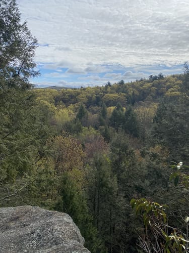 Best Hikes and Trails in Mattatuck State Forest | AllTrails