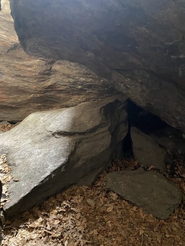 Best Hikes and Trails in Mattatuck State Forest | AllTrails