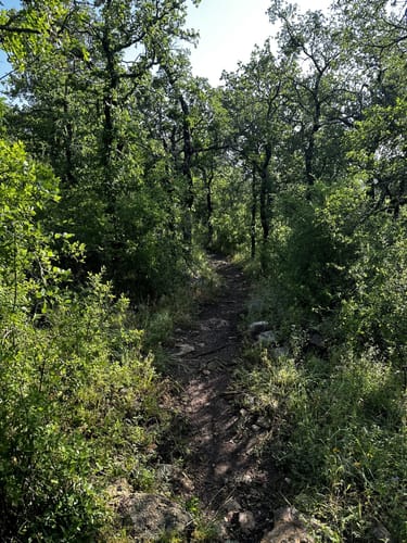 Best Hikes and Trails in Brownwood | AllTrails