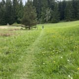 Robin Hill Park, Washington - 281 Reviews, Map | AllTrails