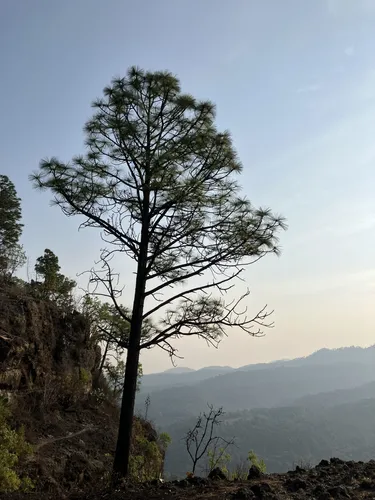 10 Best Forest Trails in Zona de Protección Ambiental Pico Azul - La ...
