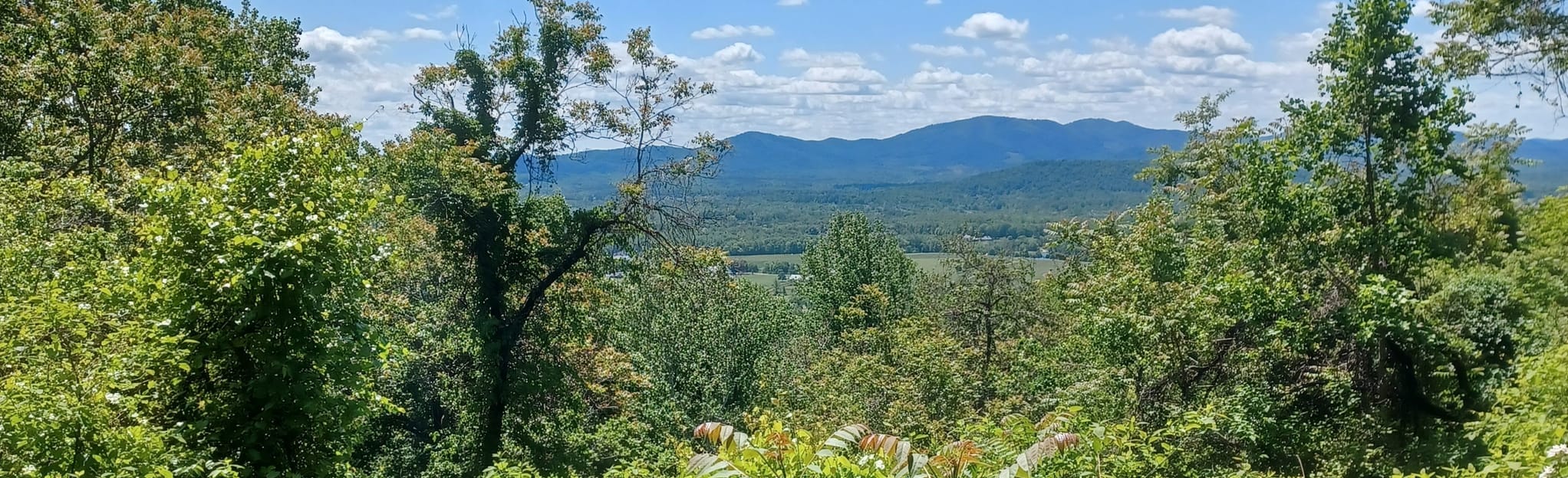 Fire Trail Loop: 395 Reviews, Map - Virginia | AllTrails