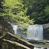 Compression Falls Trail, North Carolina - 326 Reviews, Map | AllTrails