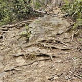Compression Falls Trail, North Carolina - 326 Reviews, Map | AllTrails