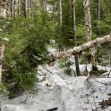 Hancock Notch Trail, New Hampshire - 56 Reviews, Map | AllTrails