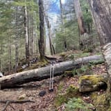 Hancock Notch Trail, New Hampshire - 56 Reviews, Map | AllTrails