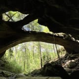 Natural Bridge Park Loop, Alabama - 295 Reviews, Map | AllTrails